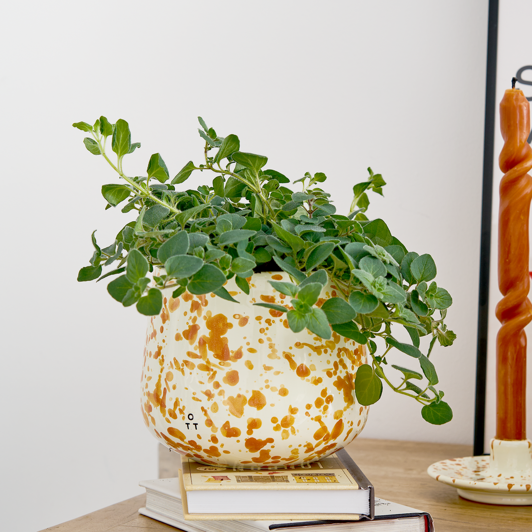 Planters – Hot Pottery