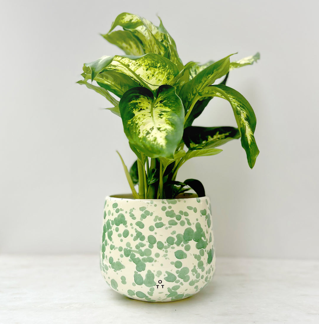 Planters – Hot Pottery